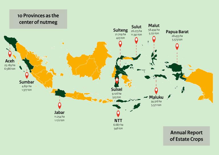 Entering the European market for nutmeg | CBI